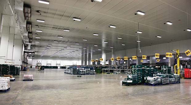 M &S gets the Gist of Ecotronic Lighting | Warehouse & Logistics News